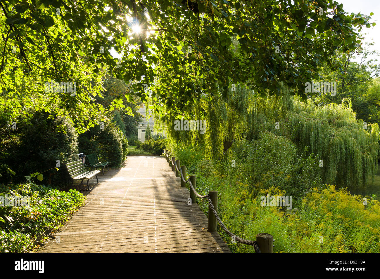 Walking path in the summer park Stock Photo - Alamy
