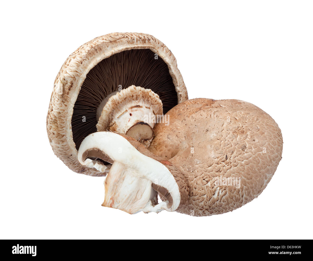 Portabella mushrooms. Demonstrated up and down sides as well as cross ...