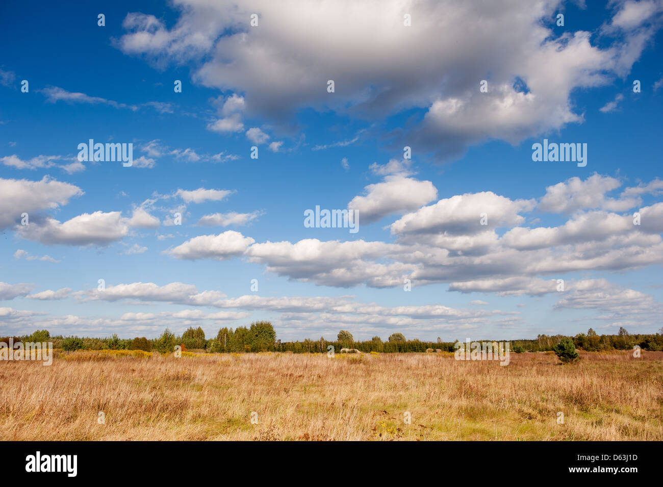 Blue sky cloudscape rural landscape Stock Photo - Alamy