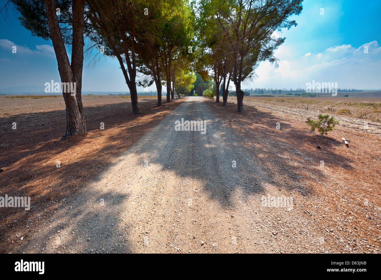Shade shady travel hi-res stock photography and images - Alamy