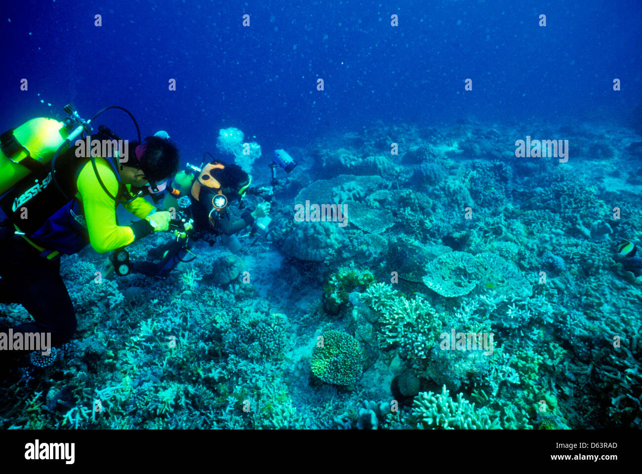 Diver photographing the reef,Sipadan May 1992 Underwater Slide ...