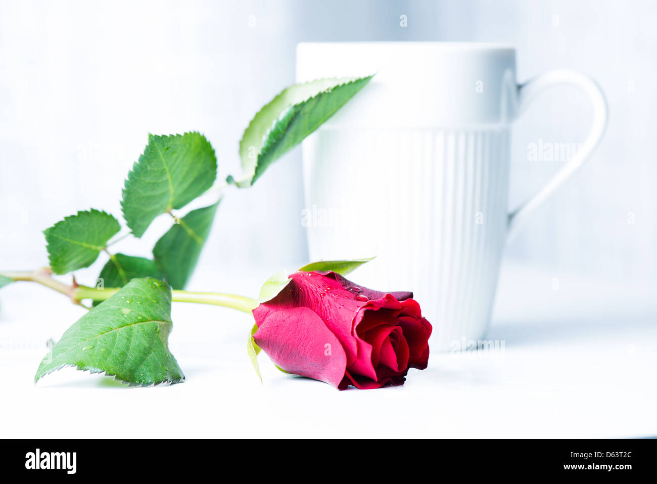 Coffee cup and rose Stock Photo - Alamy