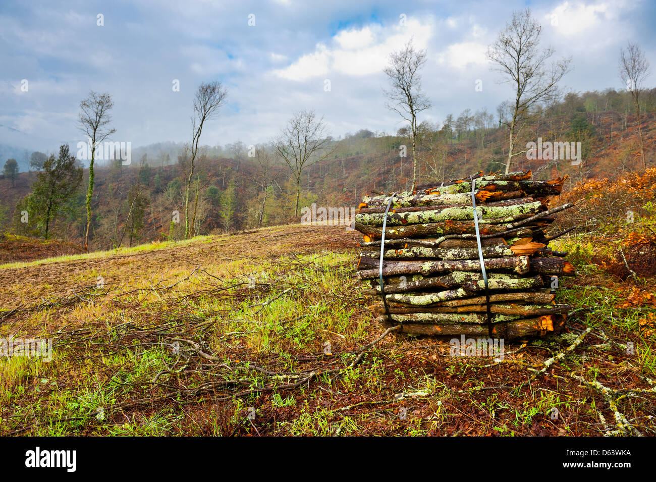 Soil slump hi-res stock photography and images - Alamy