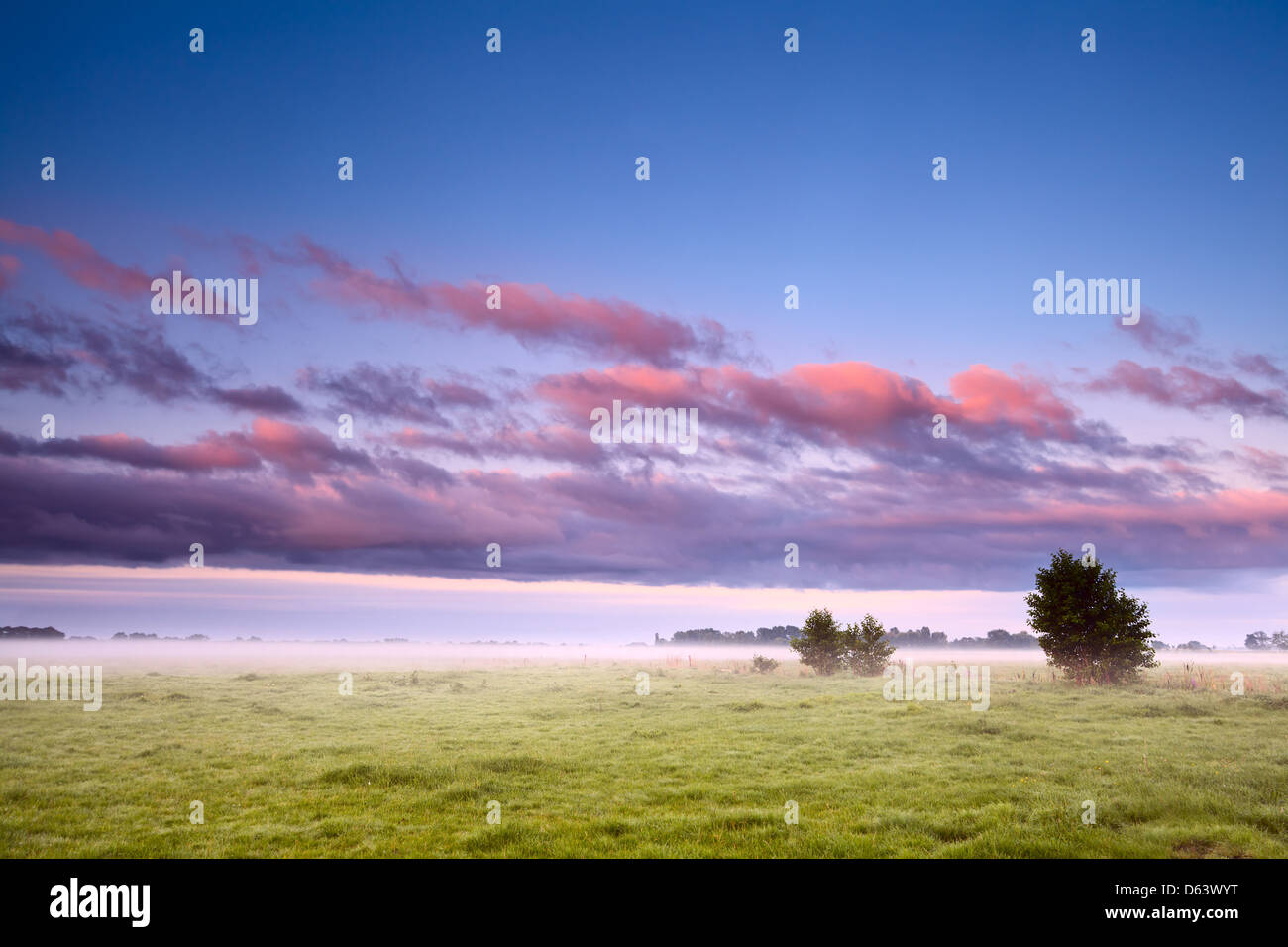 Dutch field hi-res stock photography and images - Alamy