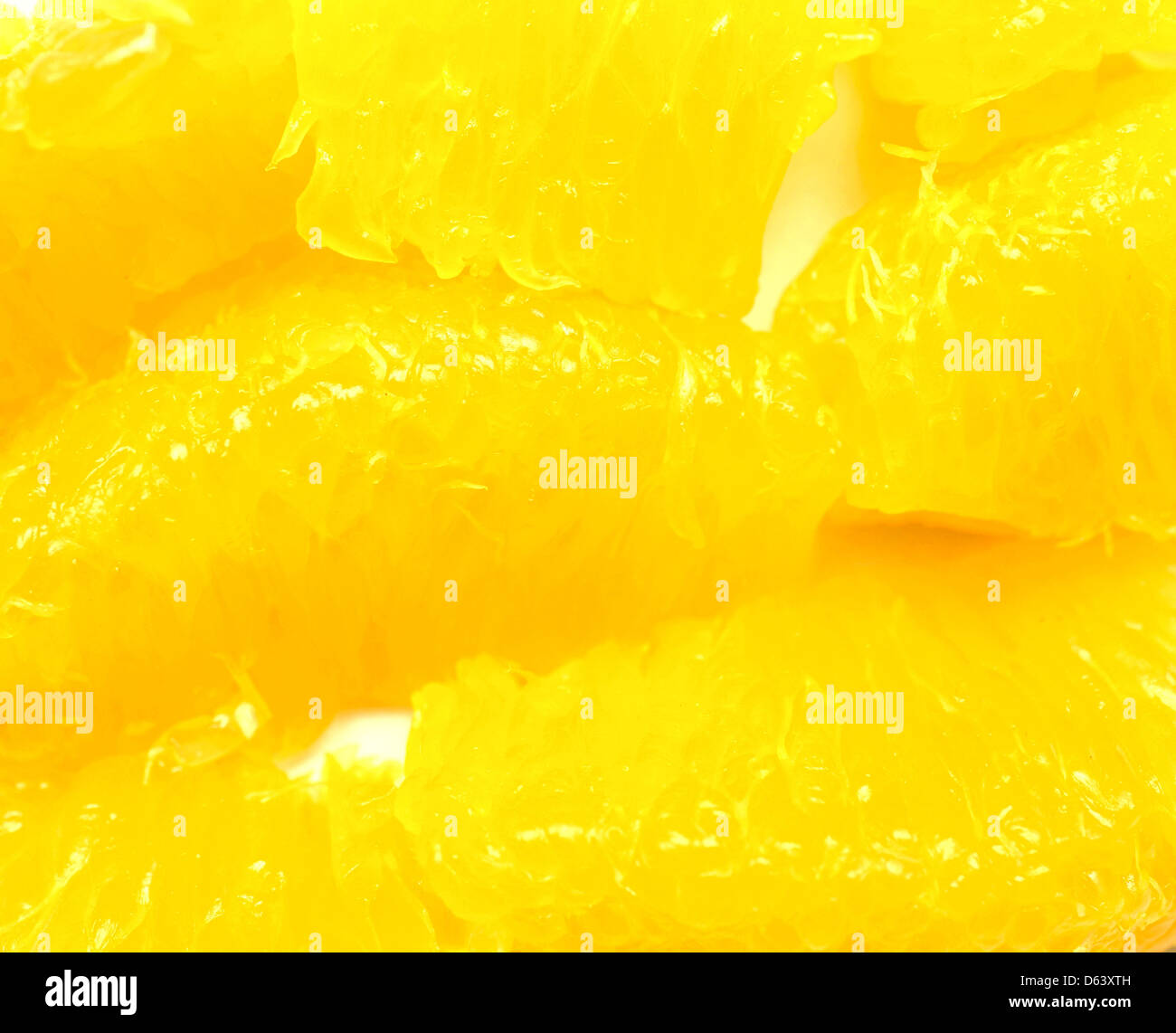 Segments agriculture hi-res stock photography and images - Alamy