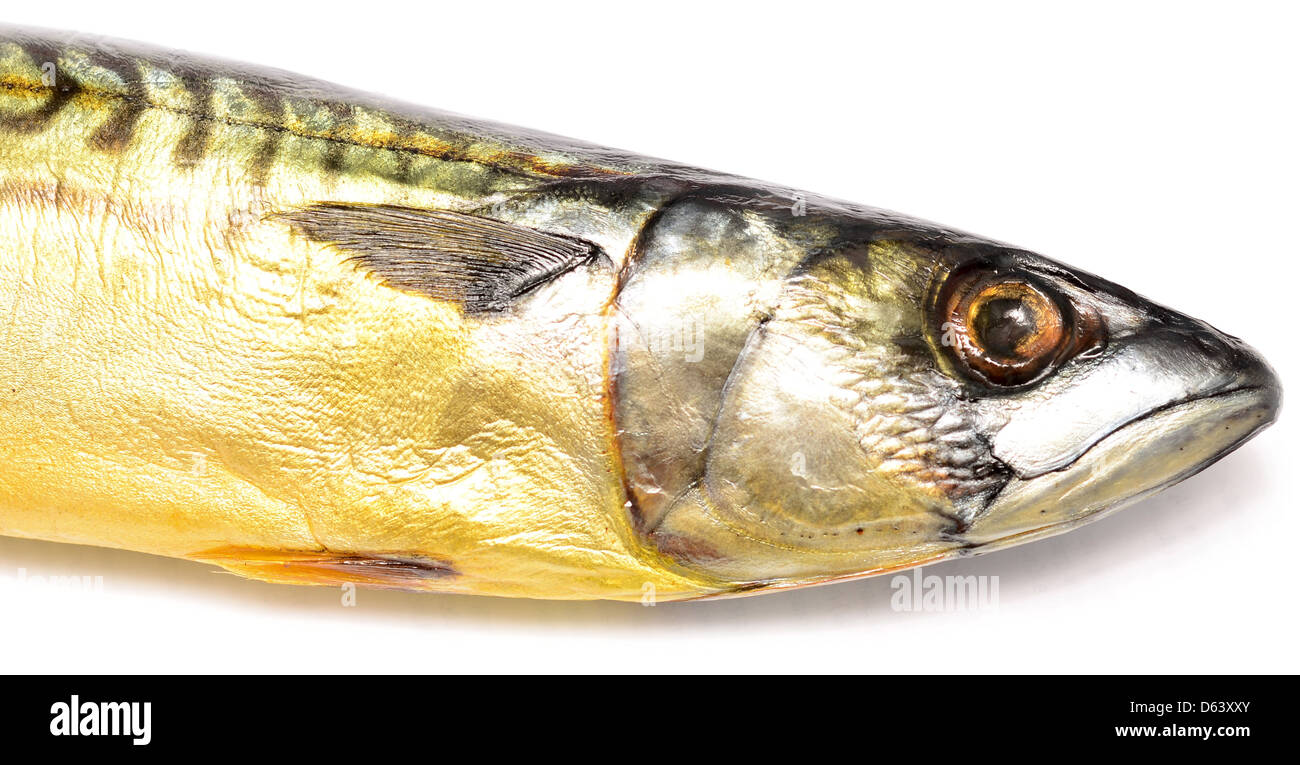 Mackerel fin hi-res stock photography and images - Alamy