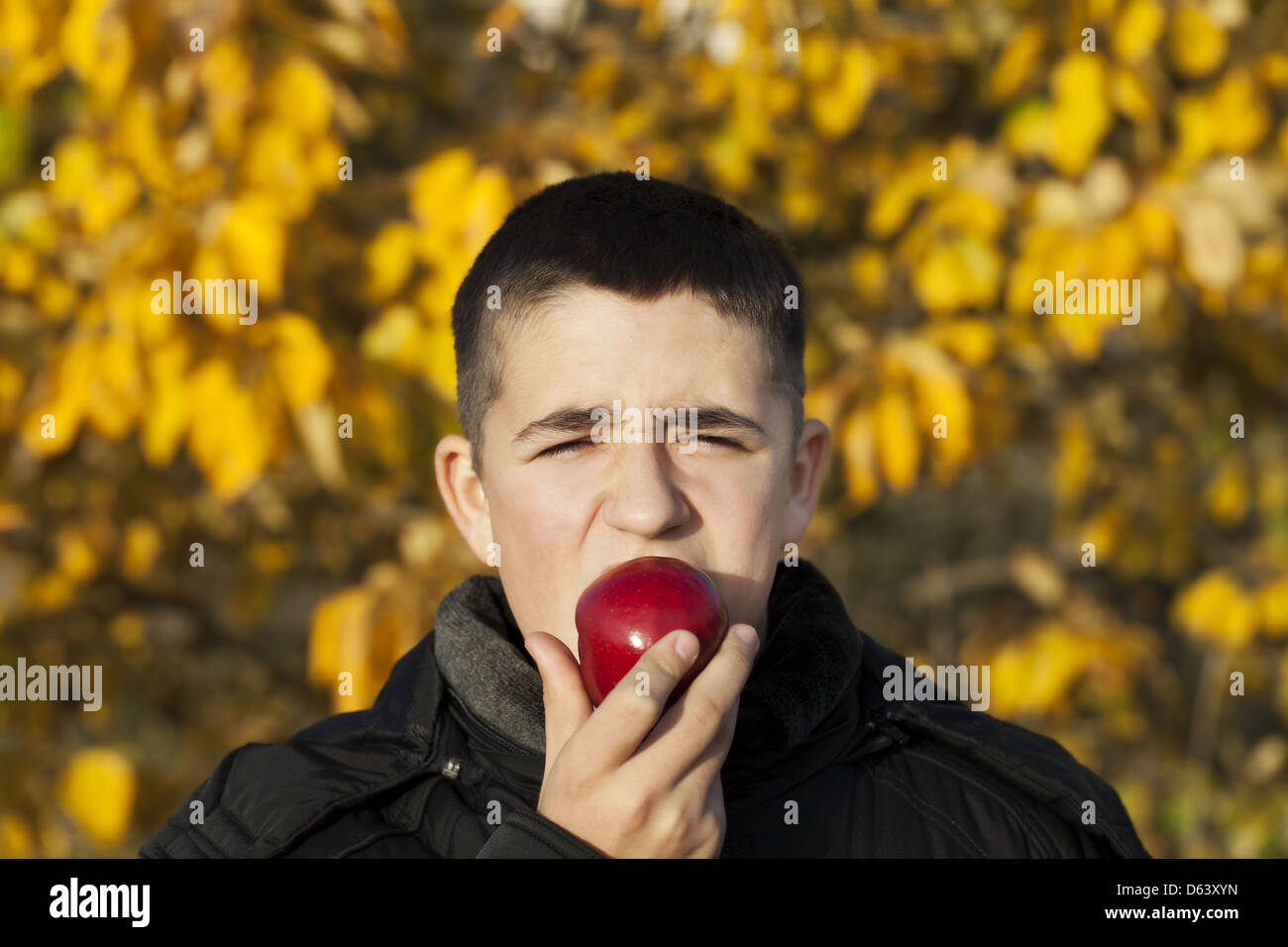 Boy starts to eat an apple Stock Photo - Alamy