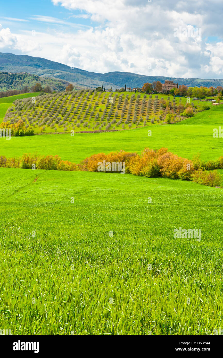 Olive grove house hi-res stock photography and images - Alamy