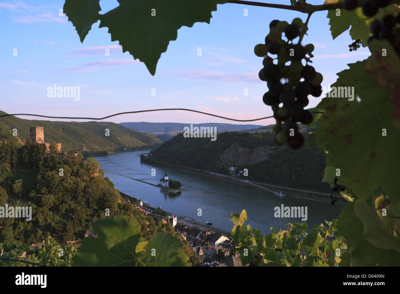 Wine and Rhine Stock Photo - Alamy