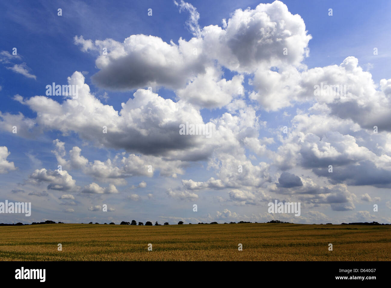 Flache wolke hi-res stock photography and images - Alamy