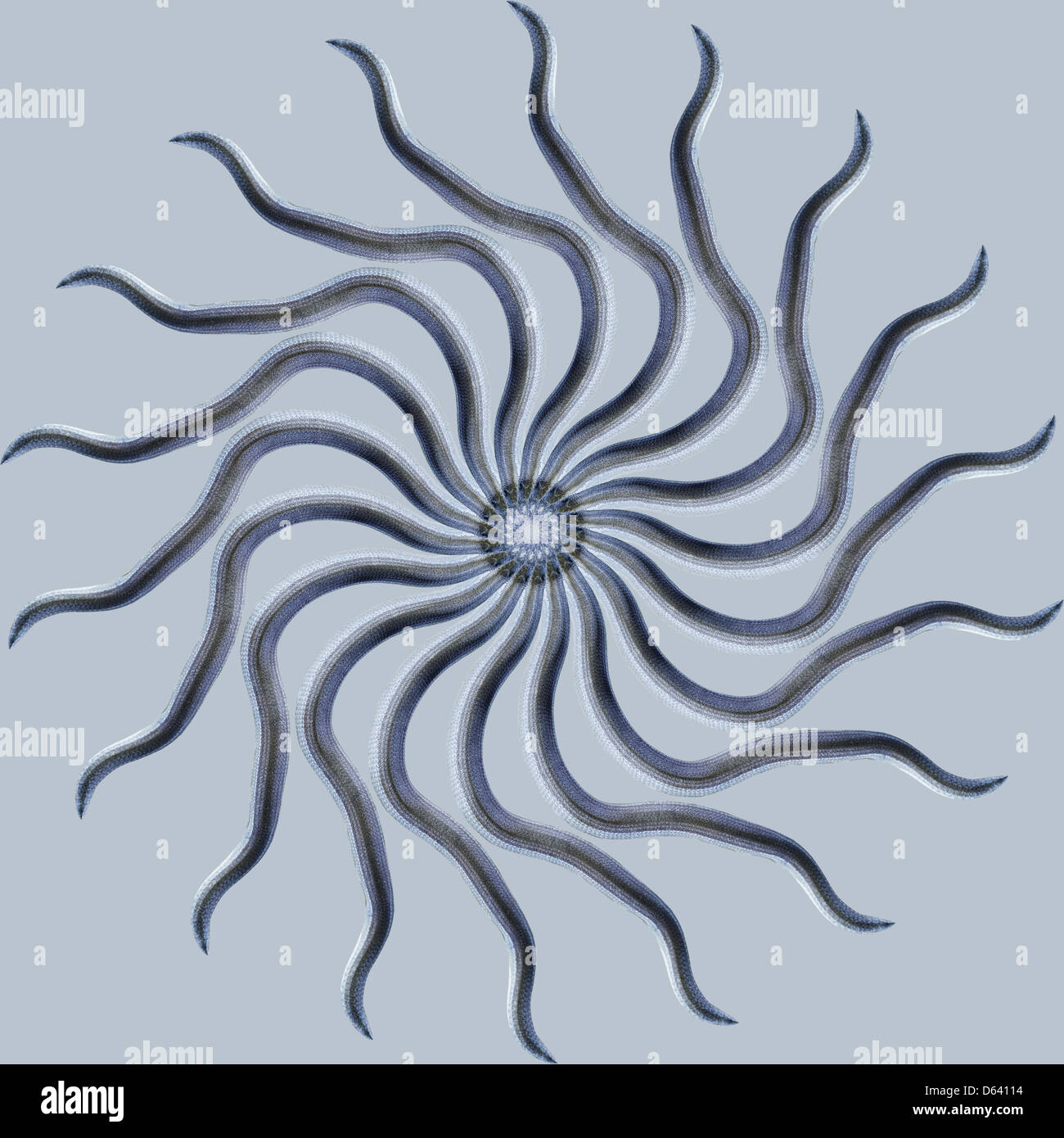 Bind worm hi-res stock photography and images - Alamy