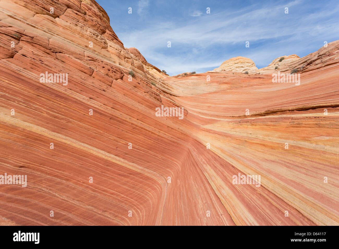 Closeup / abstract view of the iconic Wave - colorful sandstone rock ...