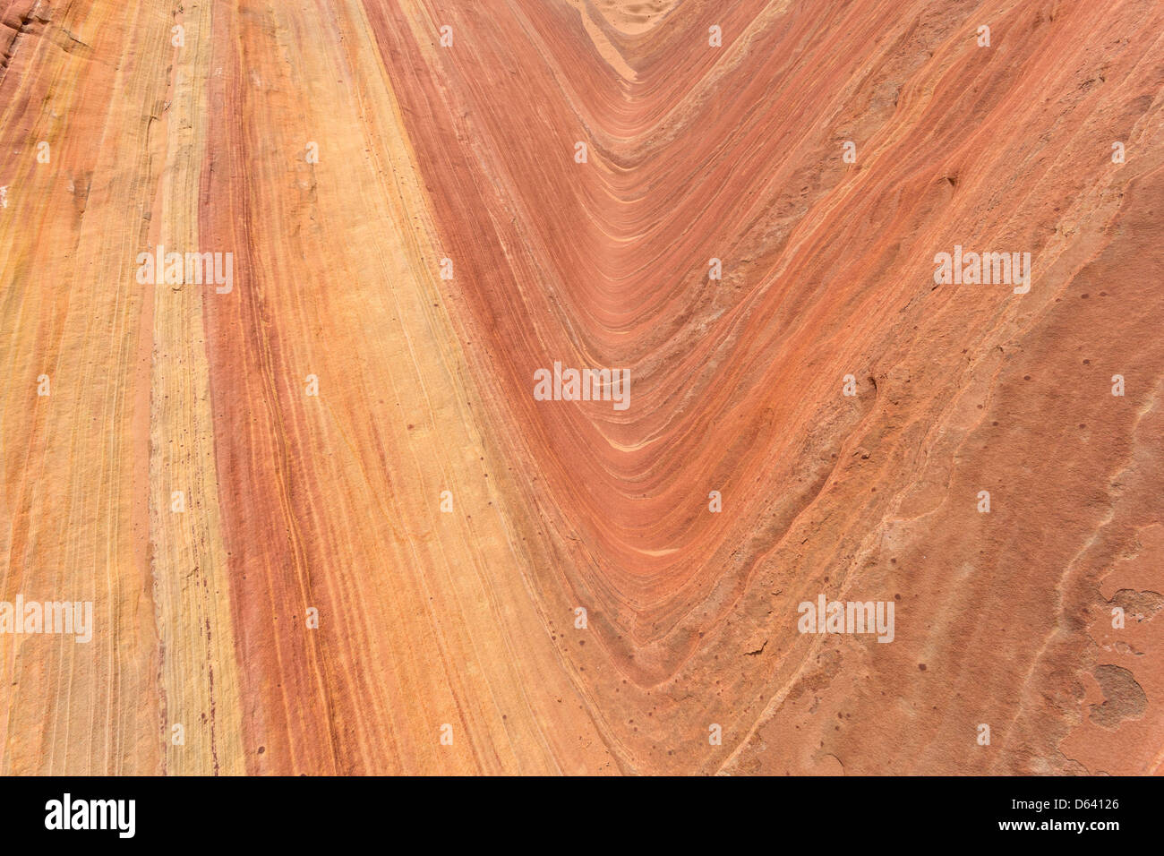 Closeup / abstract view of the iconic Wave - colorful sandstone rock ...