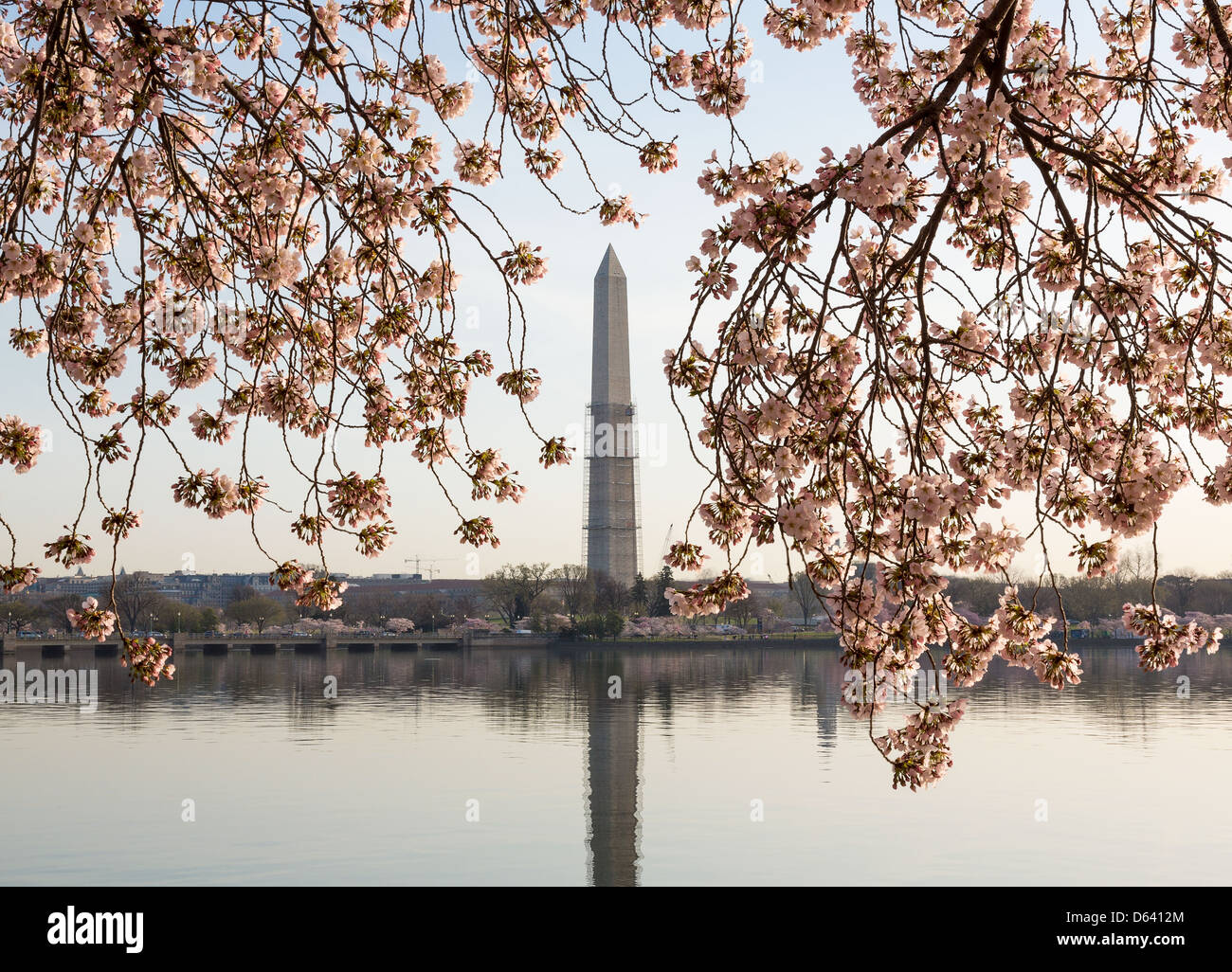 Scaffolding on tower hi-res stock photography and images - Alamy