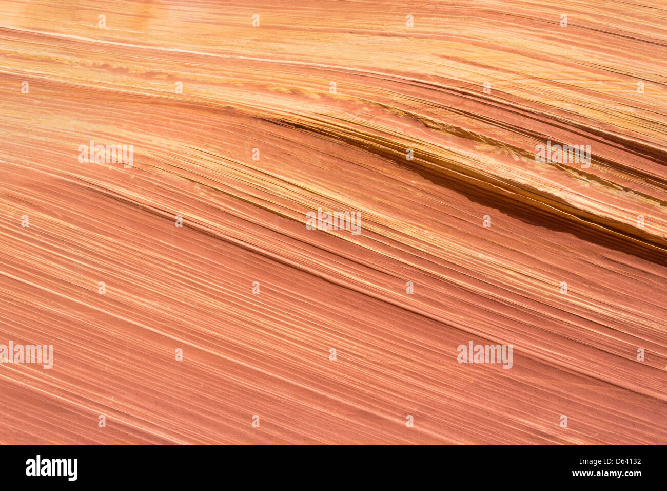 Closeup / abstract view of the iconic Wave - colorful sandstone rock ...