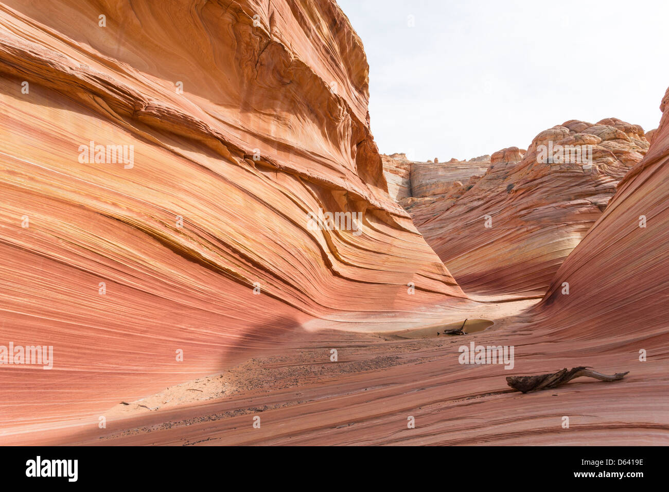 Entrance view to the colorful sandstone rock formation, the iconic Wave ...