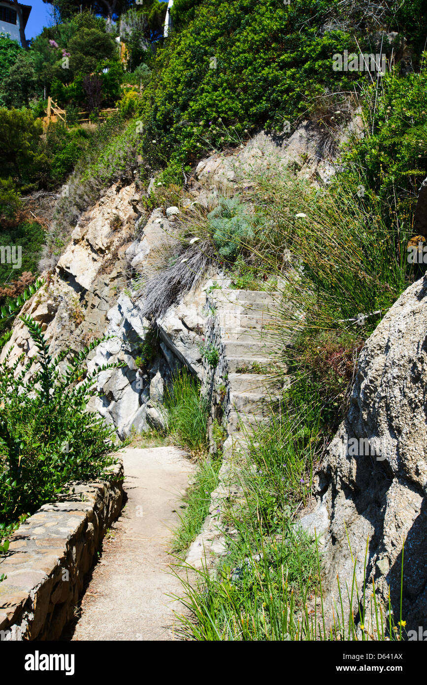 Rock stairs hi-res stock photography and images - Alamy