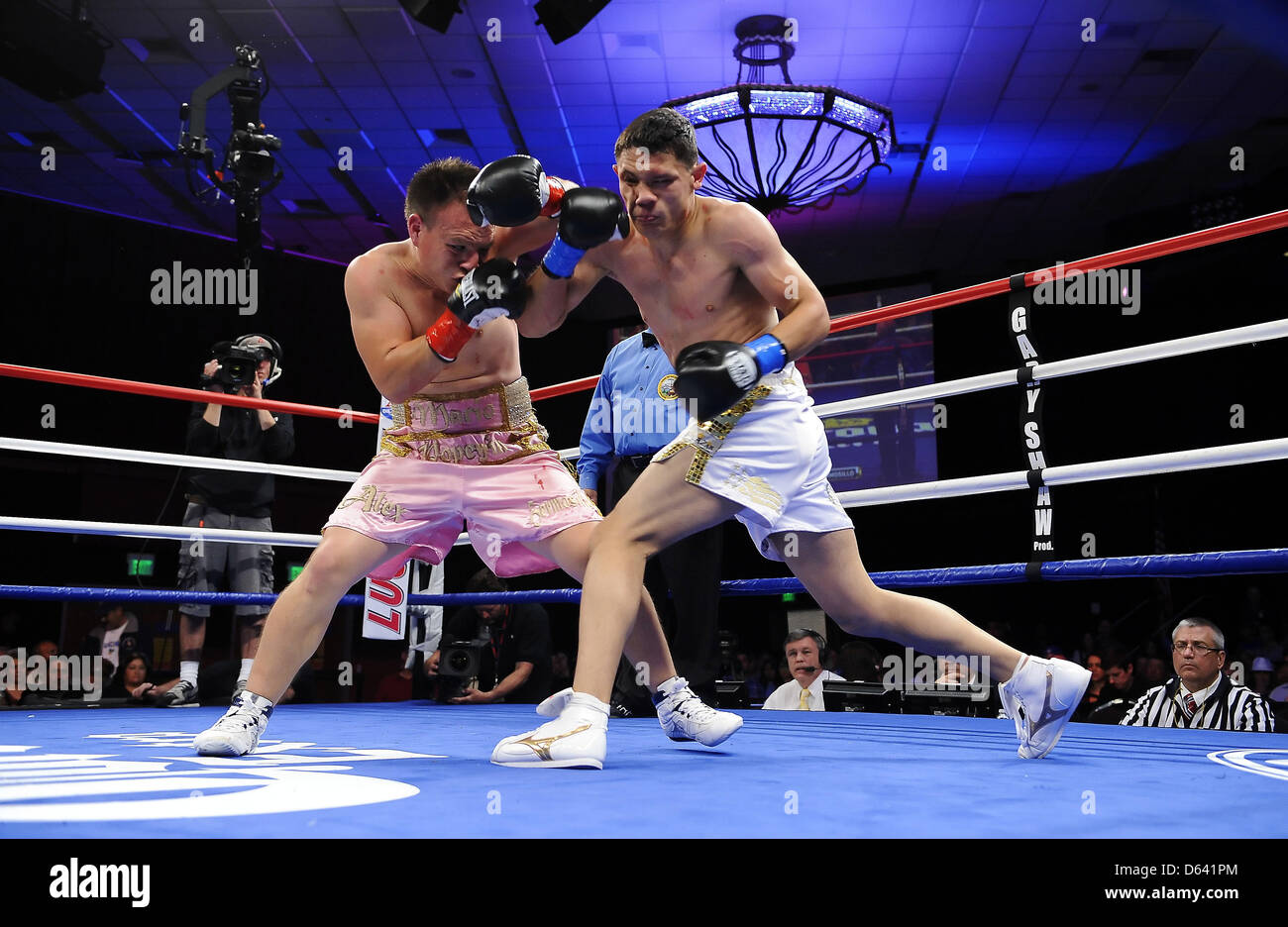 Indian professional boxer hi-res stock photography and images - Alamy