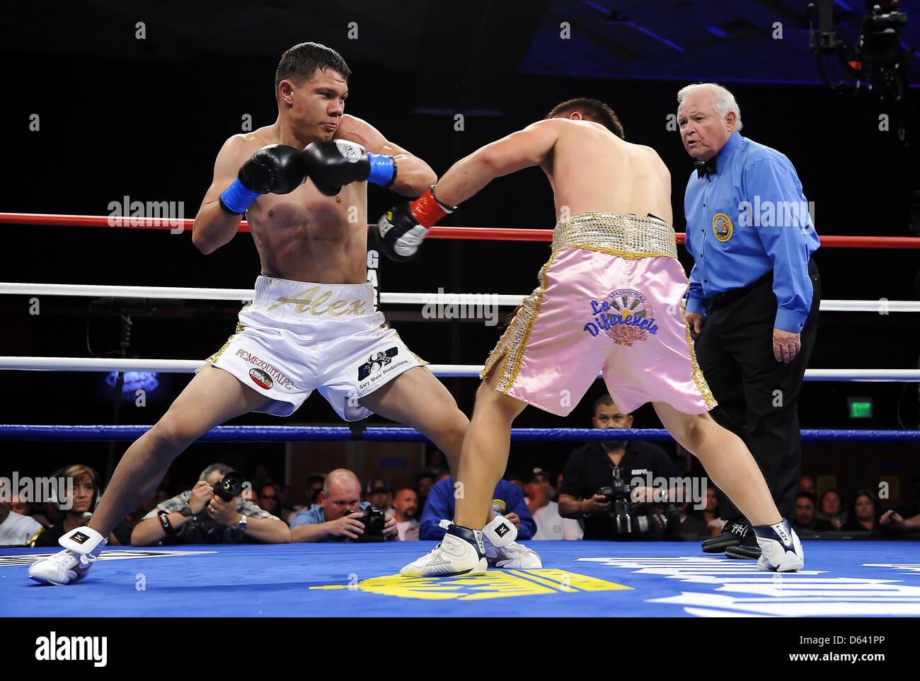 Indian professional boxer hi-res stock photography and images - Alamy