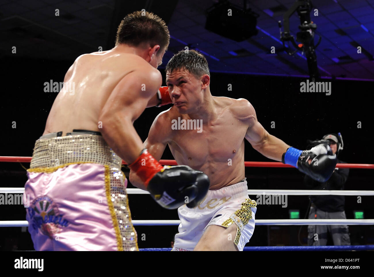 Indian professional boxer hi-res stock photography and images - Alamy
