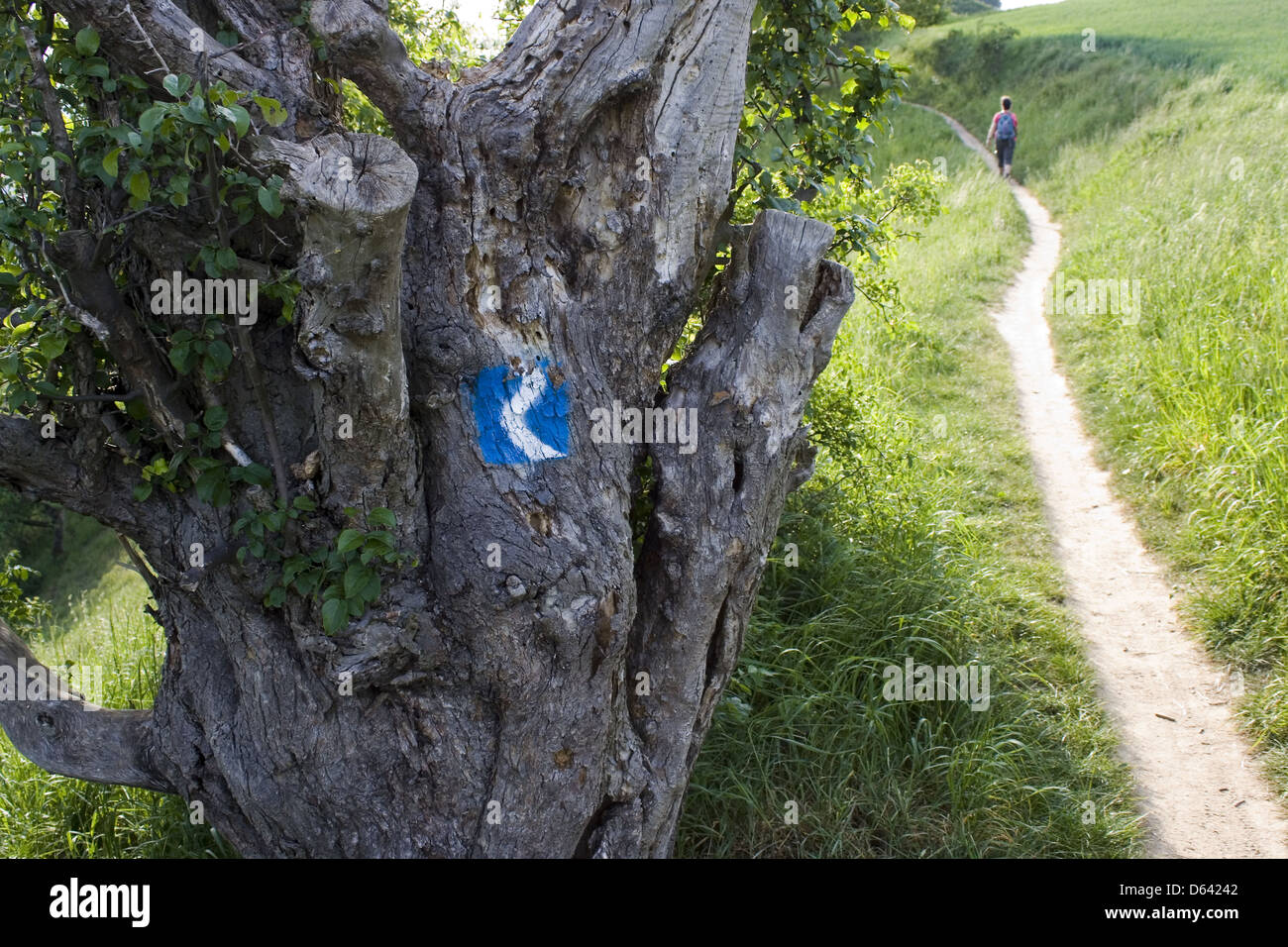walk along Rhine Germany Stock Photo - Alamy
