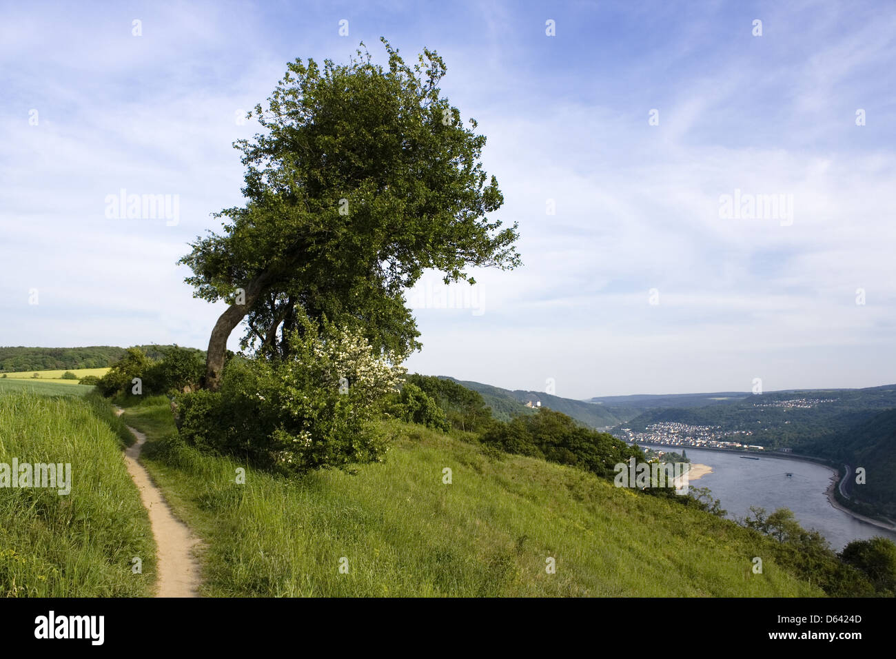 Landscape Rhine Germany Stock Photo - Alamy