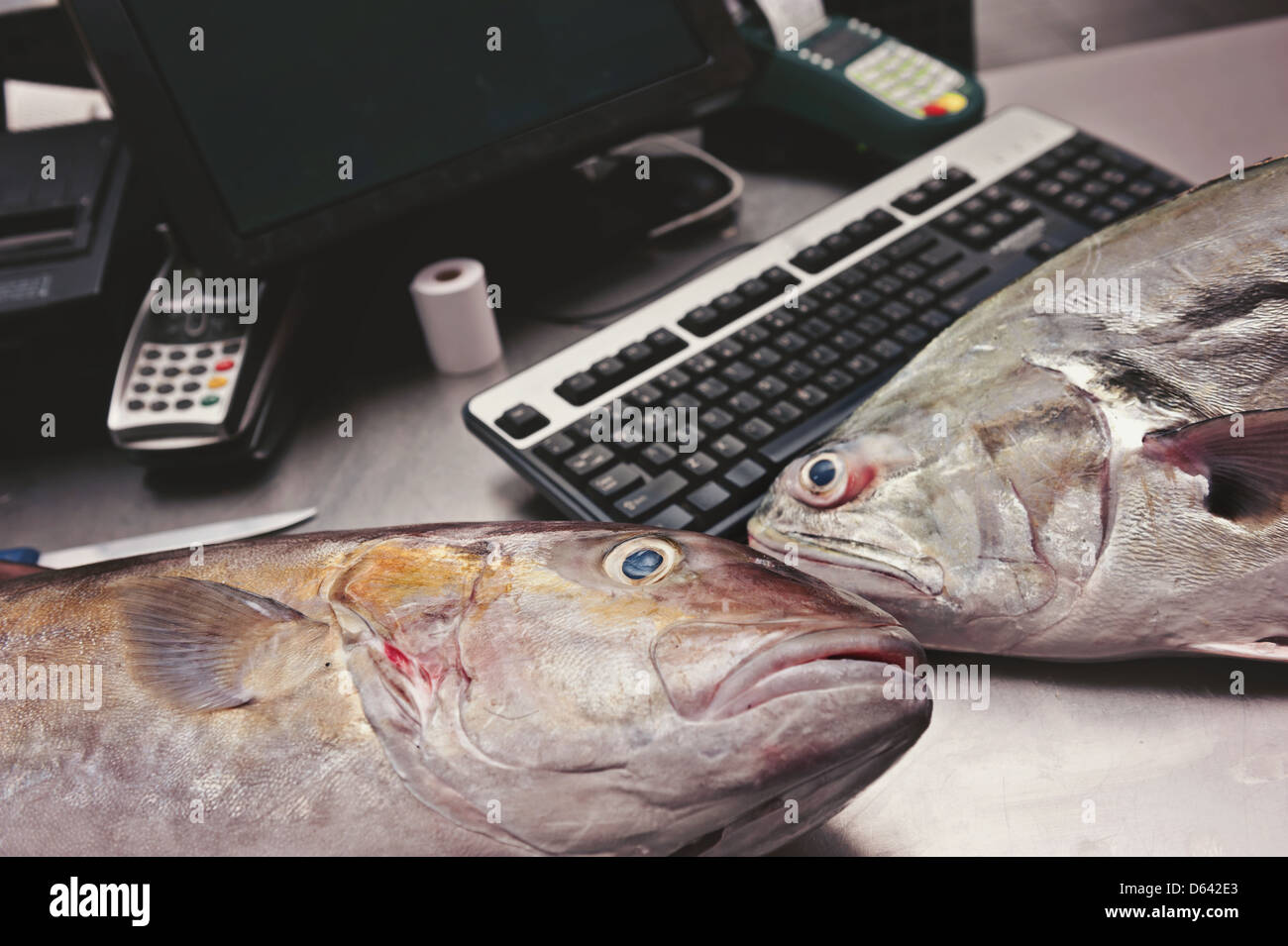 the fish were taking over this day at my local seafood cafe Stock Photo ...