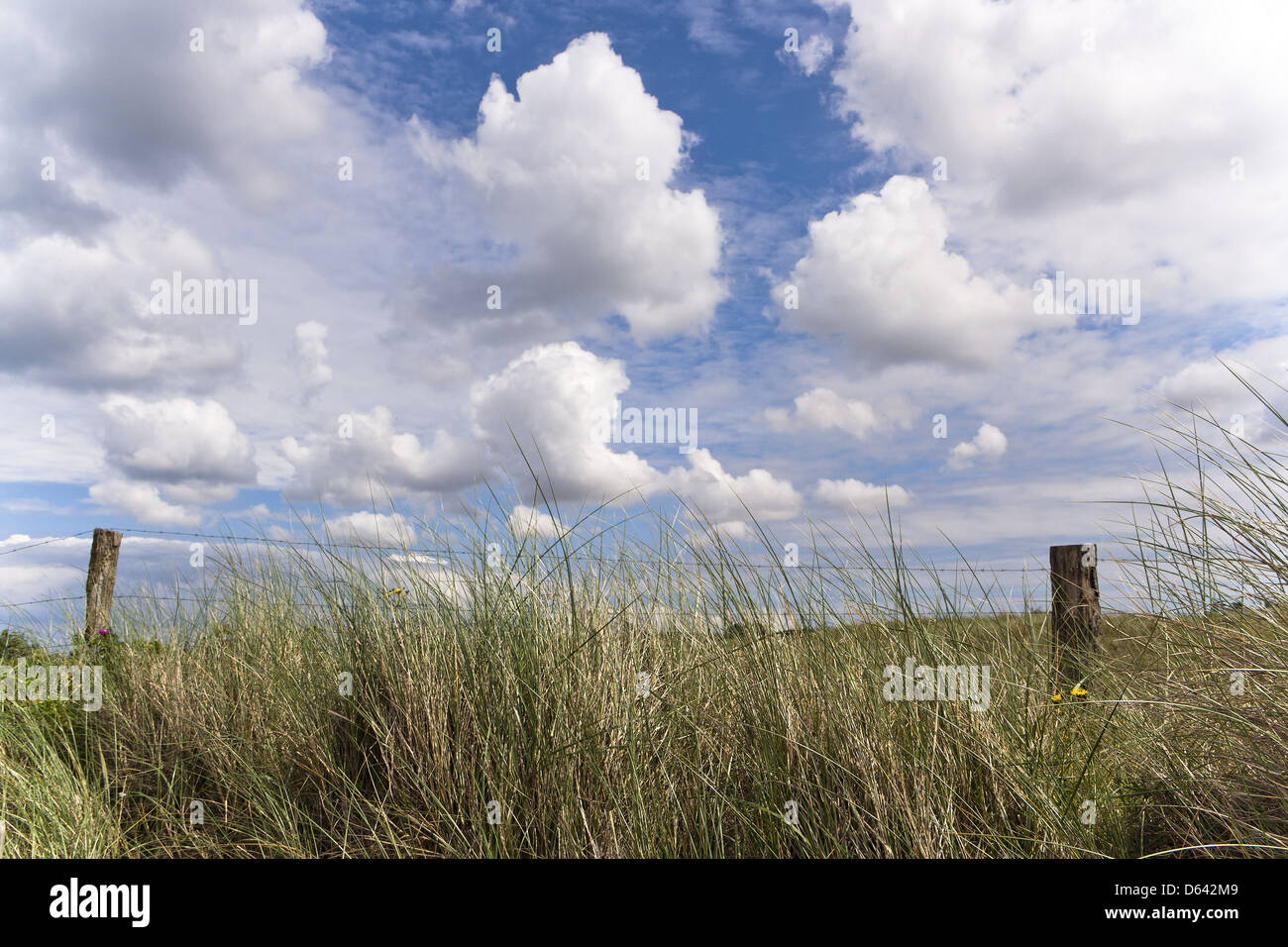 Baltic Sea coastal area Germany Stock Photo - Alamy