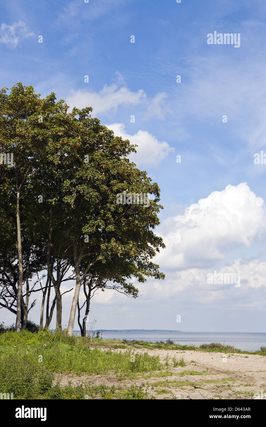 coastal area Baltic Sea Germany Stock Photo - Alamy