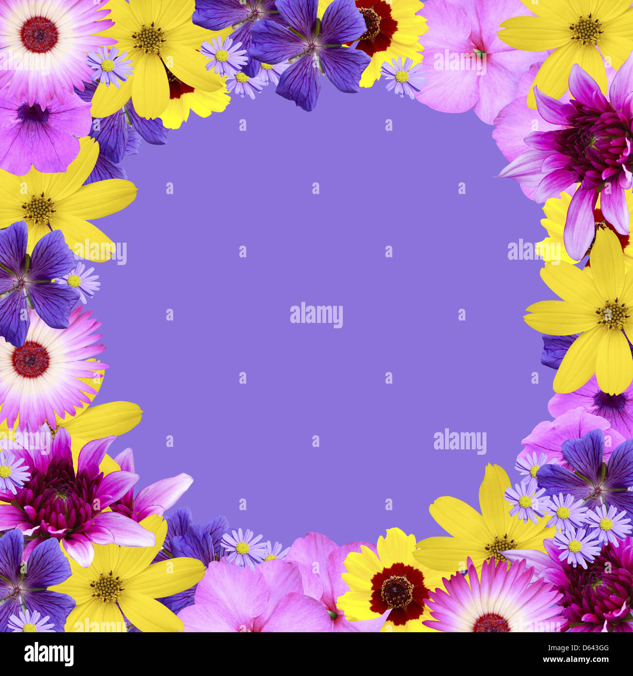 Vertical edging hi-res stock photography and images - Alamy