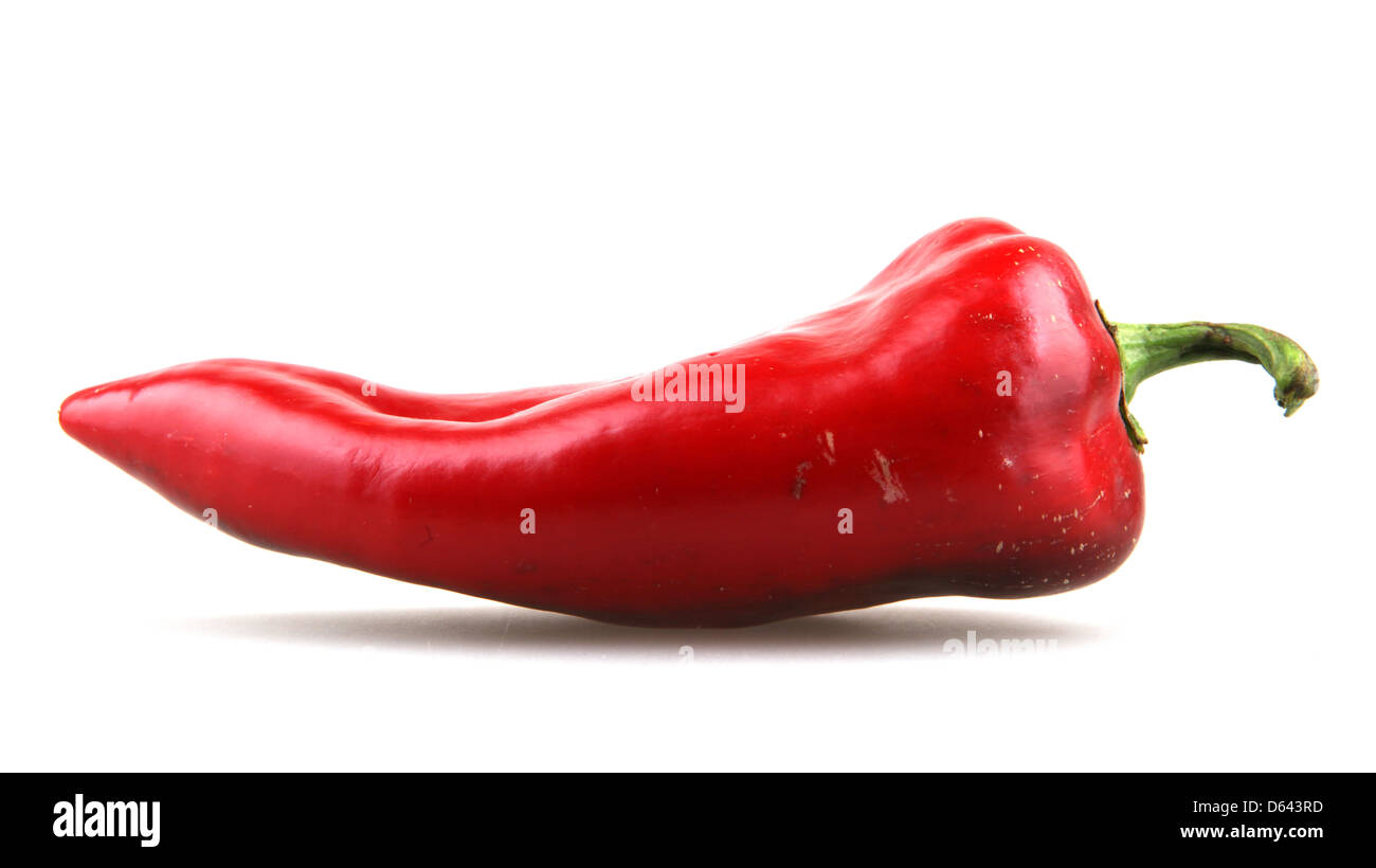 Single red chilli hi-res stock photography and images - Alamy