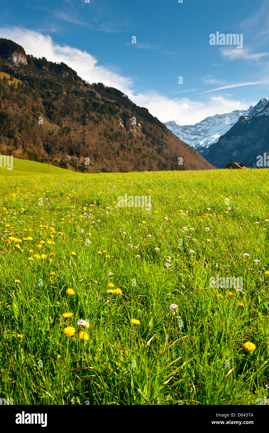 Pastoral pastures hi-res stock photography and images - Alamy