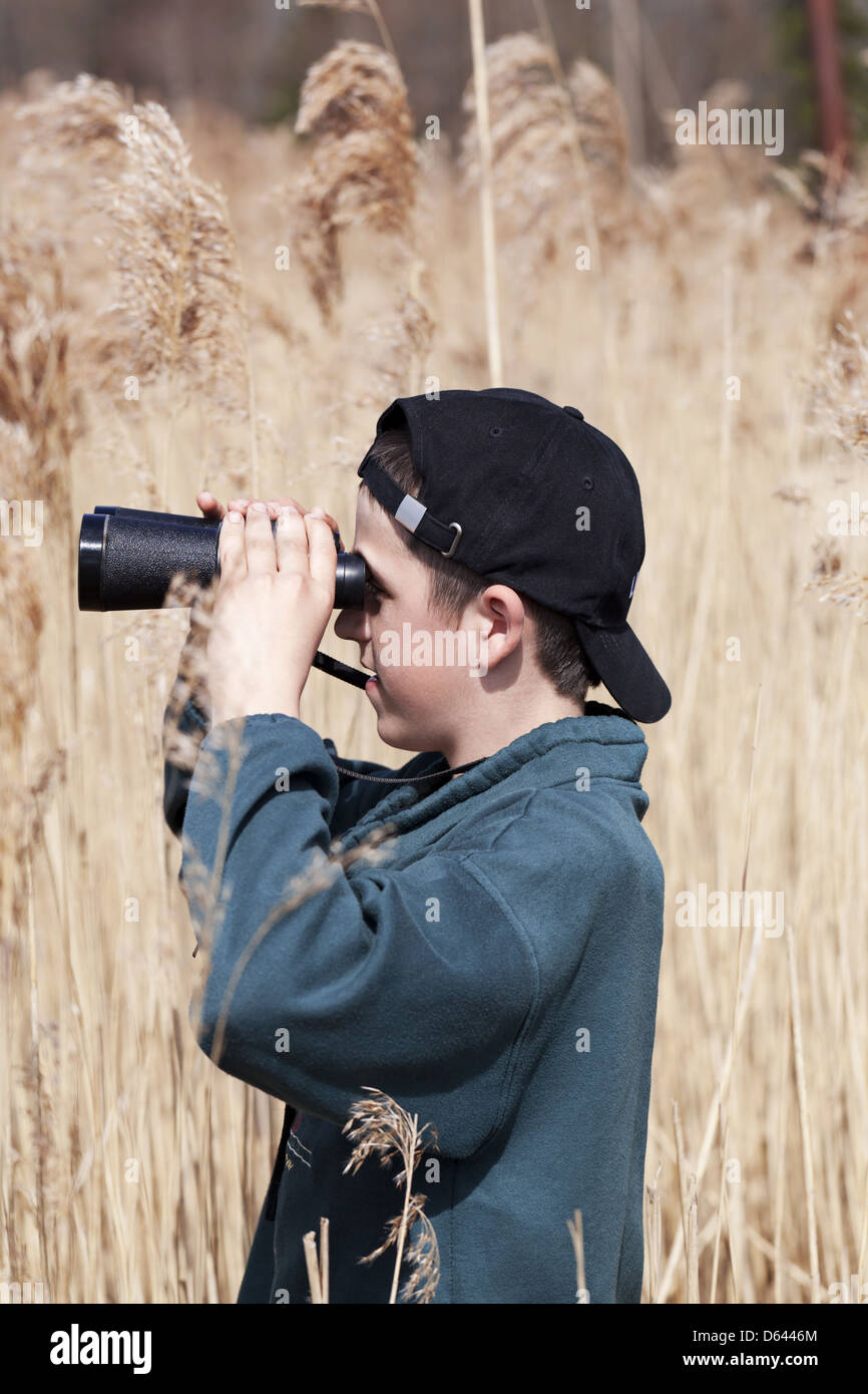 Watching birds wildlife hi-res stock photography and images - Alamy