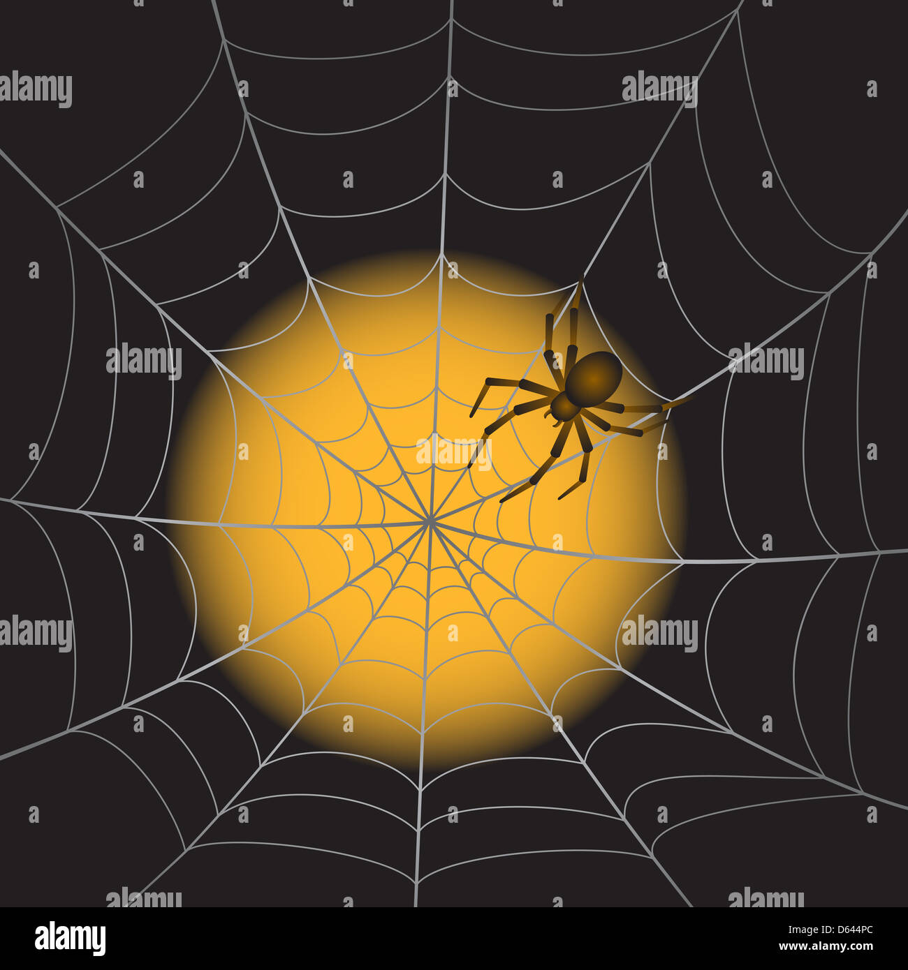 A Spiderweb with Spider Stock Photo - Alamy
