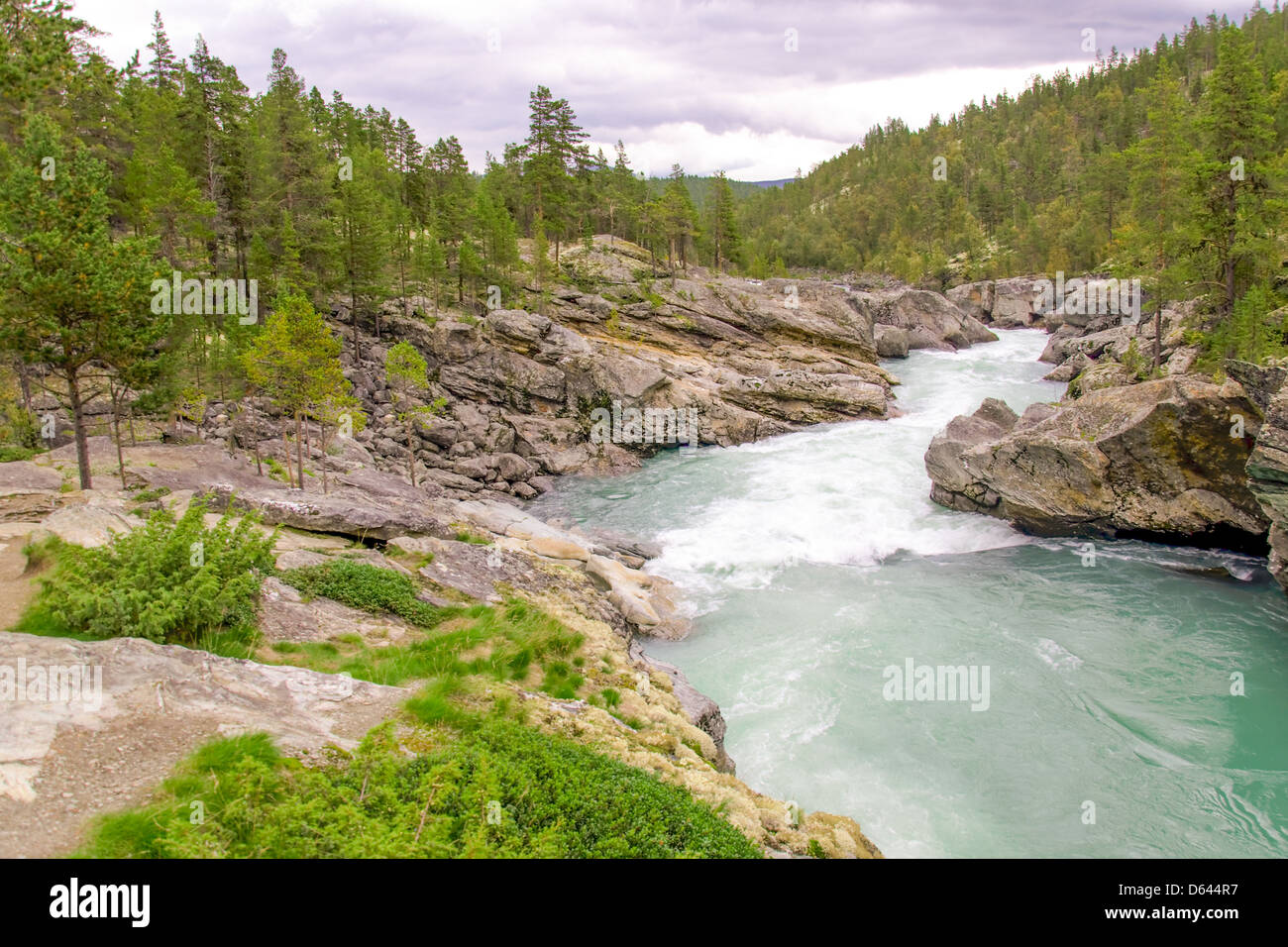 Mountain river in Norway forest Stock Photo - Alamy