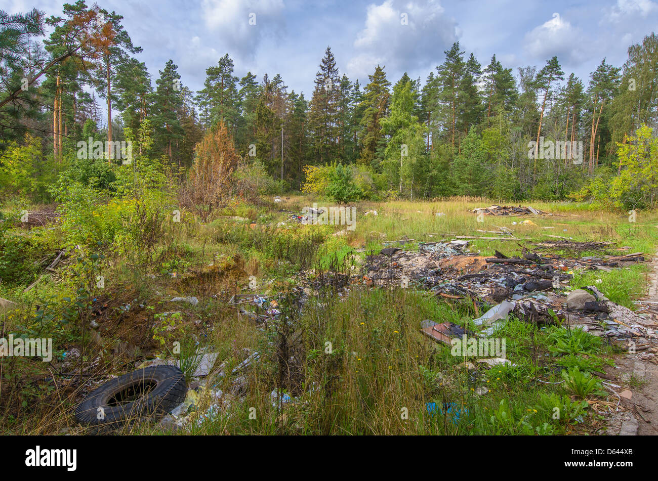 Garbage dump in forest Stock Photo - Alamy
