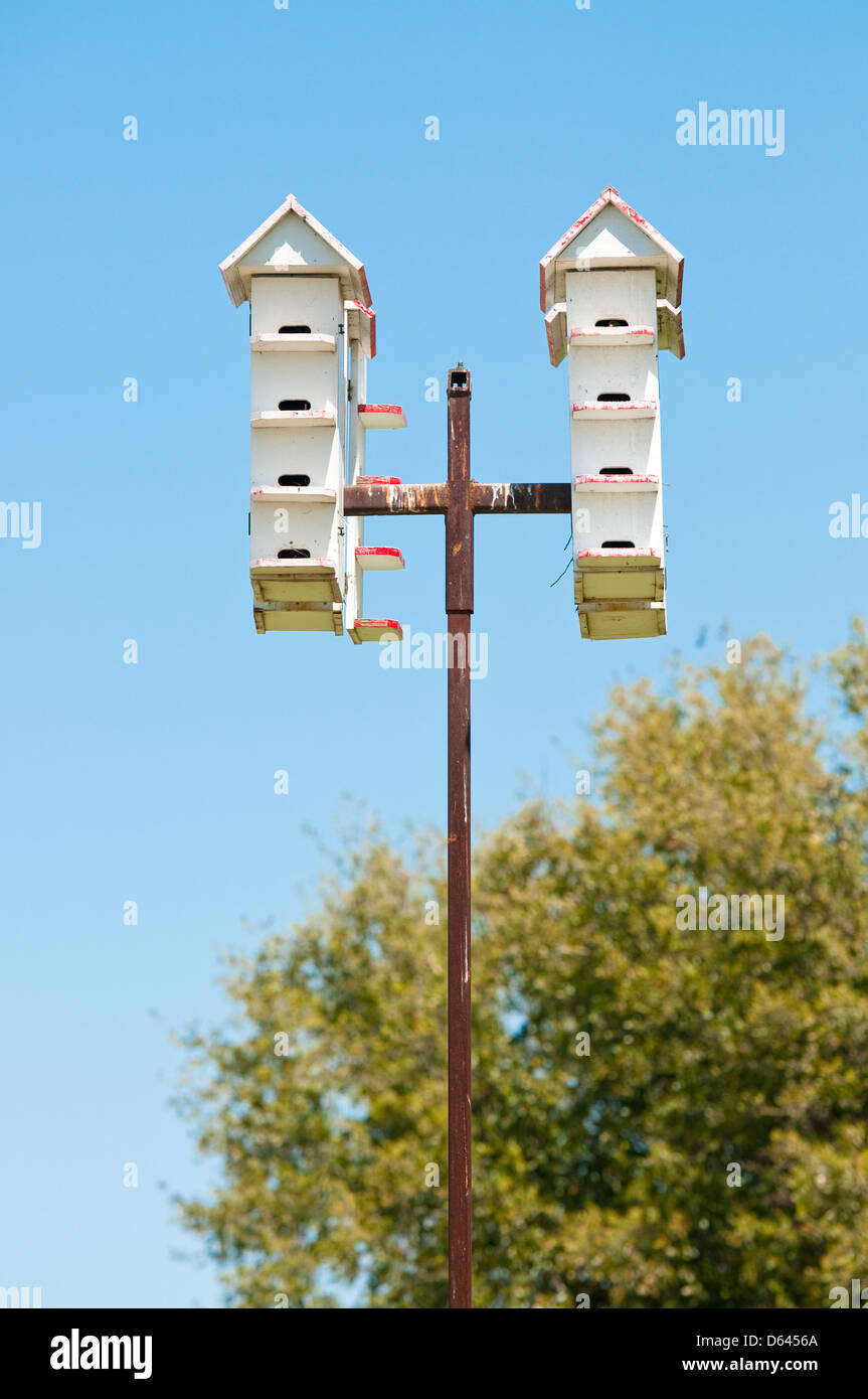 Birdhouse on pole hi-res stock photography and images - Alamy