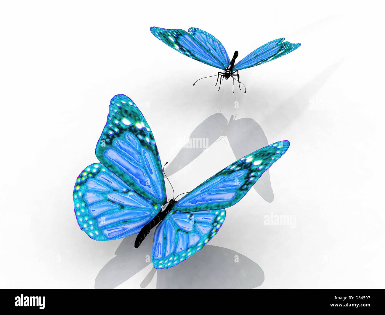 the beautiful butterfly with wings Stock Photo - Alamy