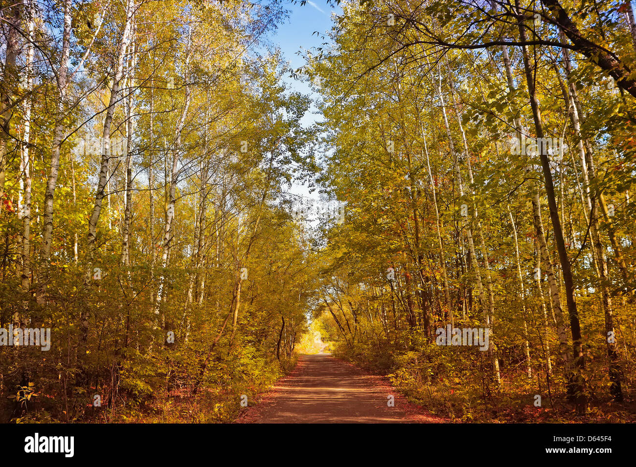 Cycle way in autumn hi-res stock photography and images - Alamy