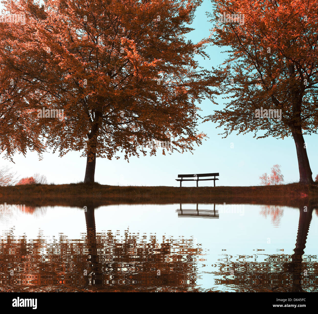 Bench and trees in city park in the autumn Stock Photo - Alamy