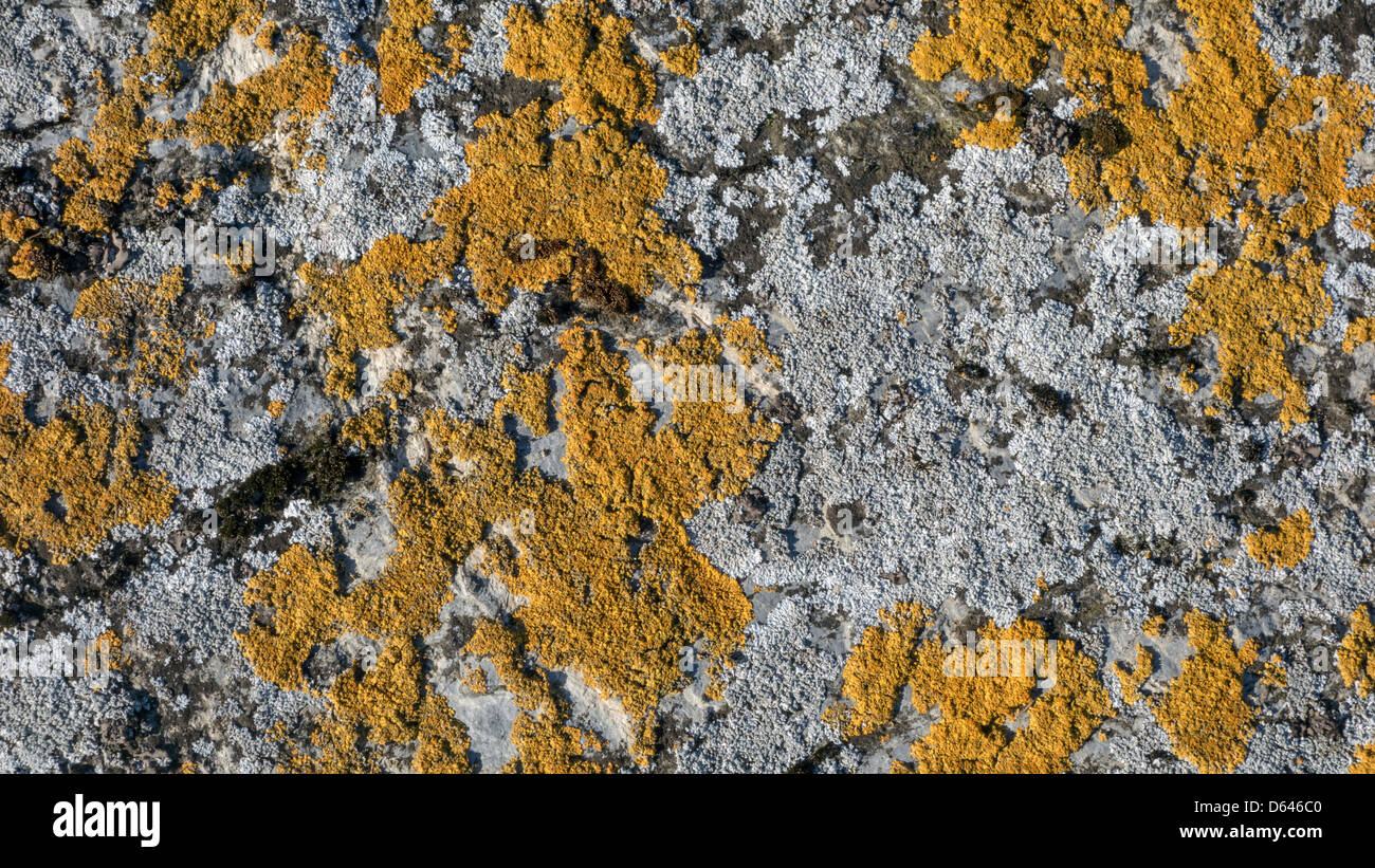 Texture of nature stone background Stock Photo - Alamy