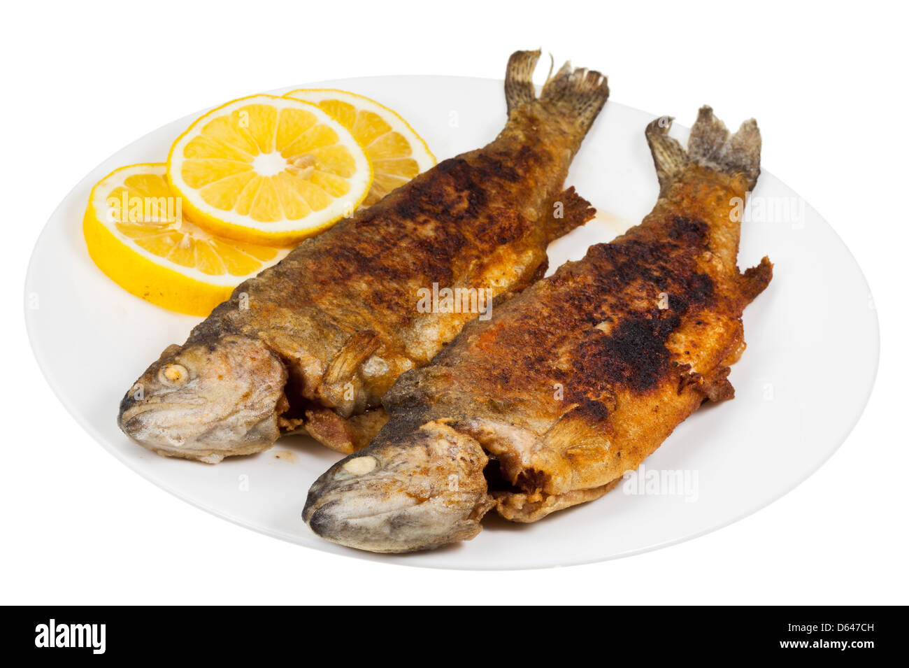 Trout fry hi-res stock photography and images - Alamy