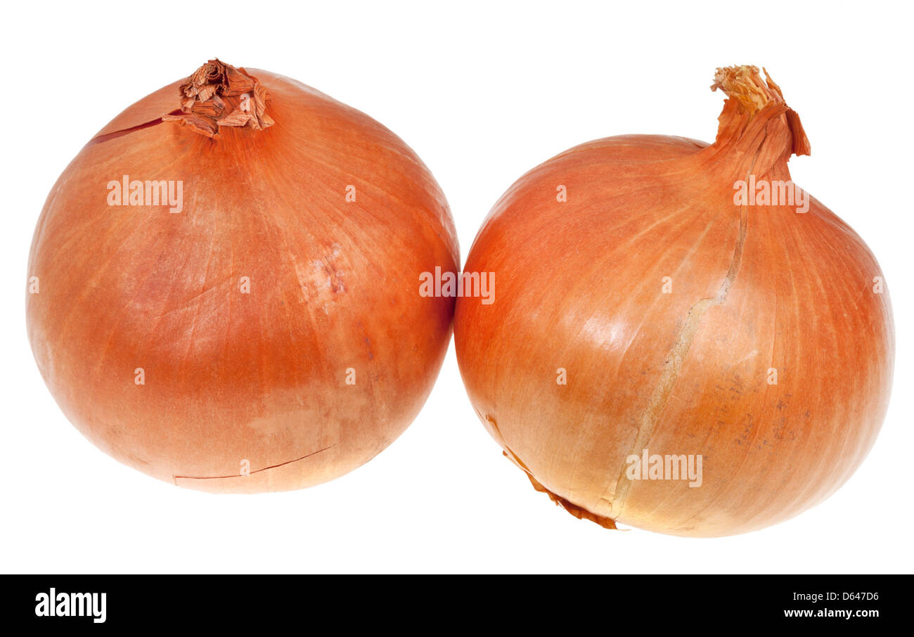 two onion bulbs isolated on white background Stock Photo - Alamy