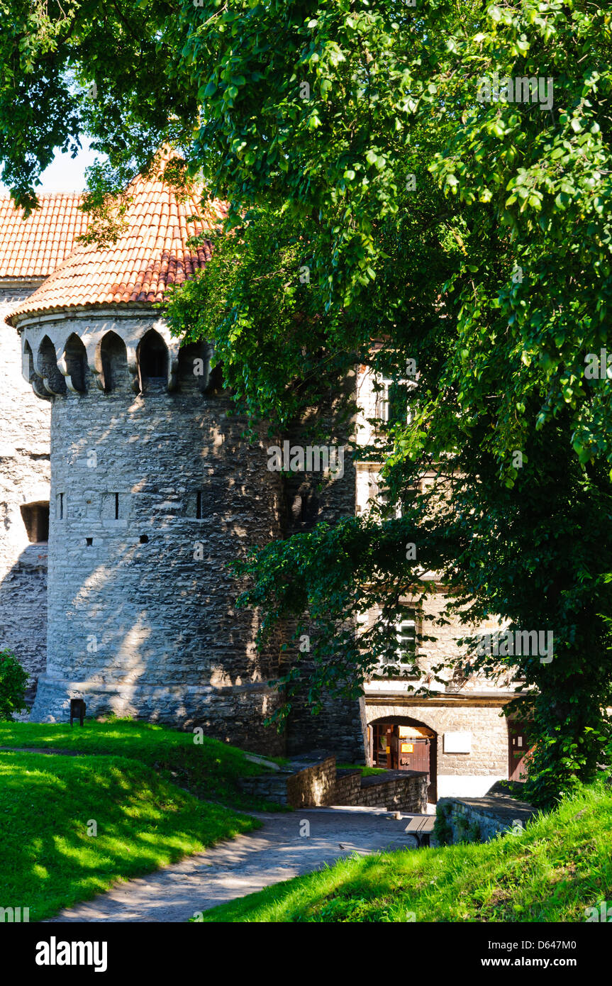 medieval defense towet in tallinn, estonia Stock Photo - Alamy
