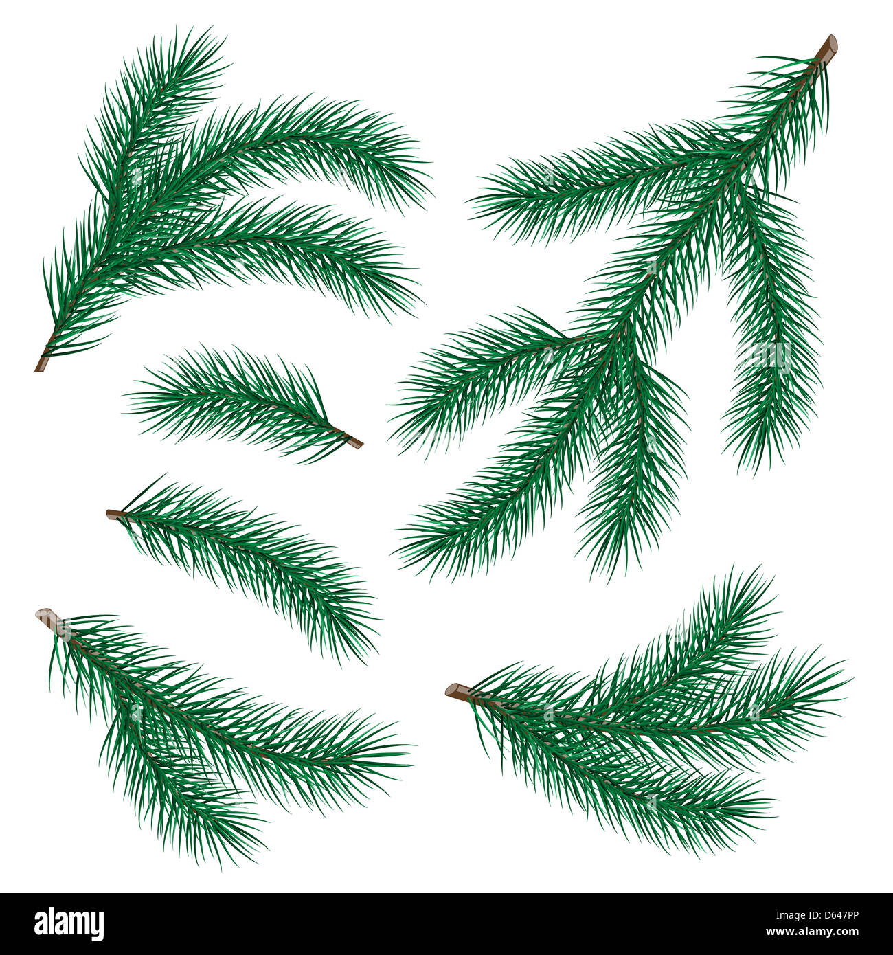 set of fir branch Stock Photo - Alamy