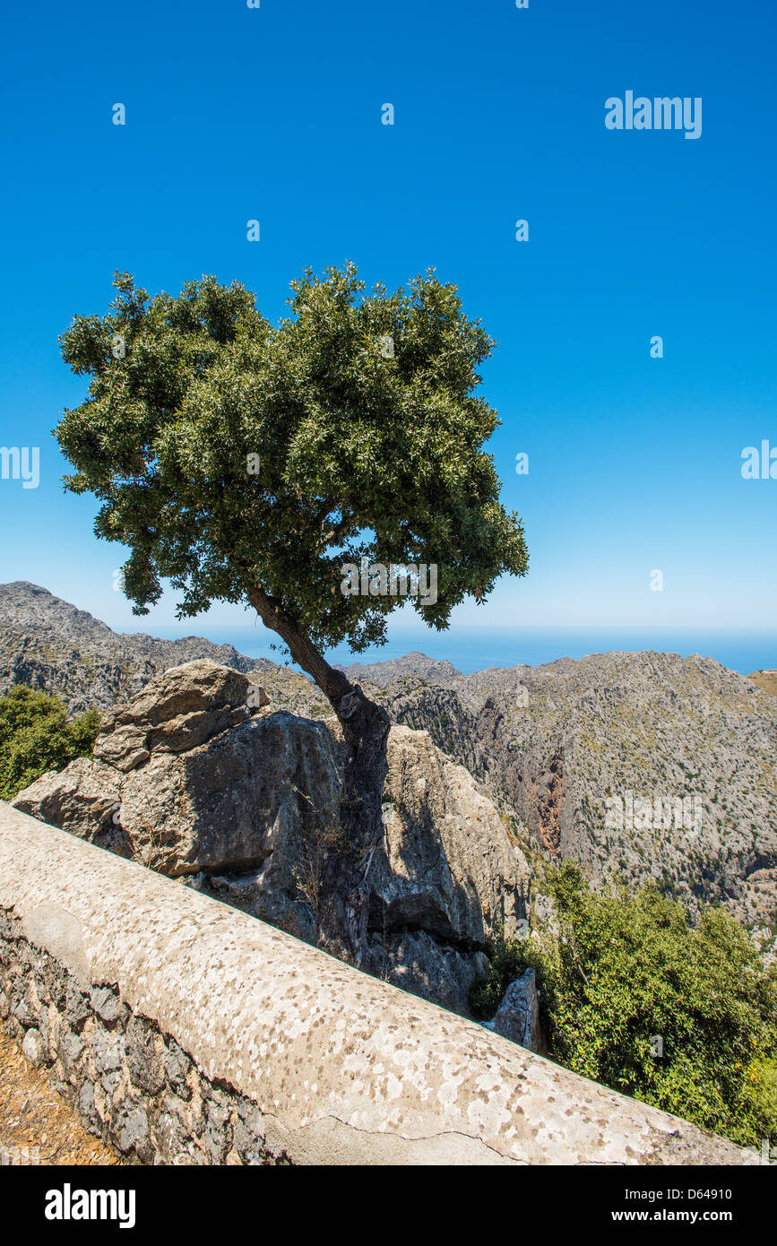 On a rocks hi-res stock photography and images - Alamy