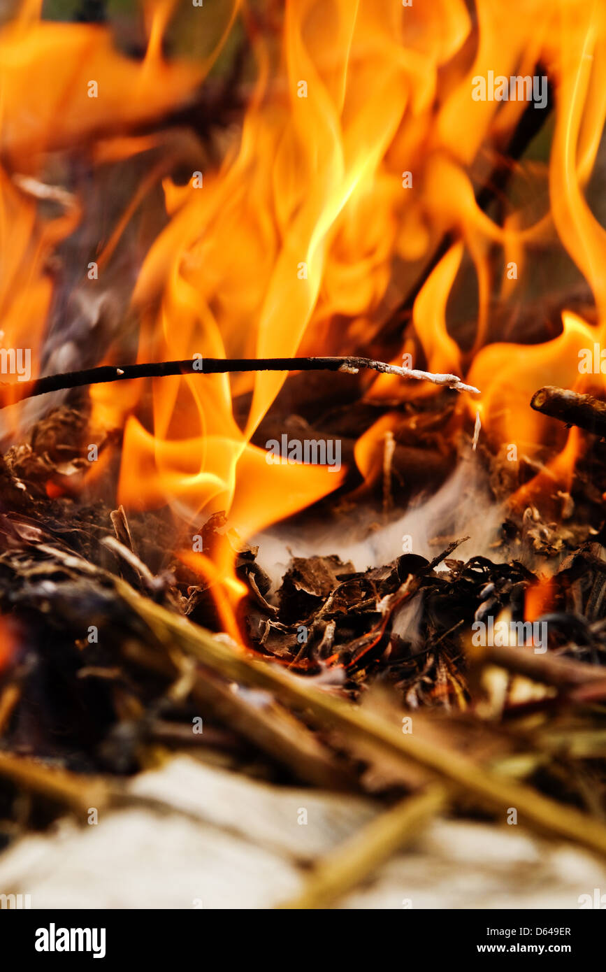 Thick dry tree branches burning, close up image Stock Photo - Alamy
