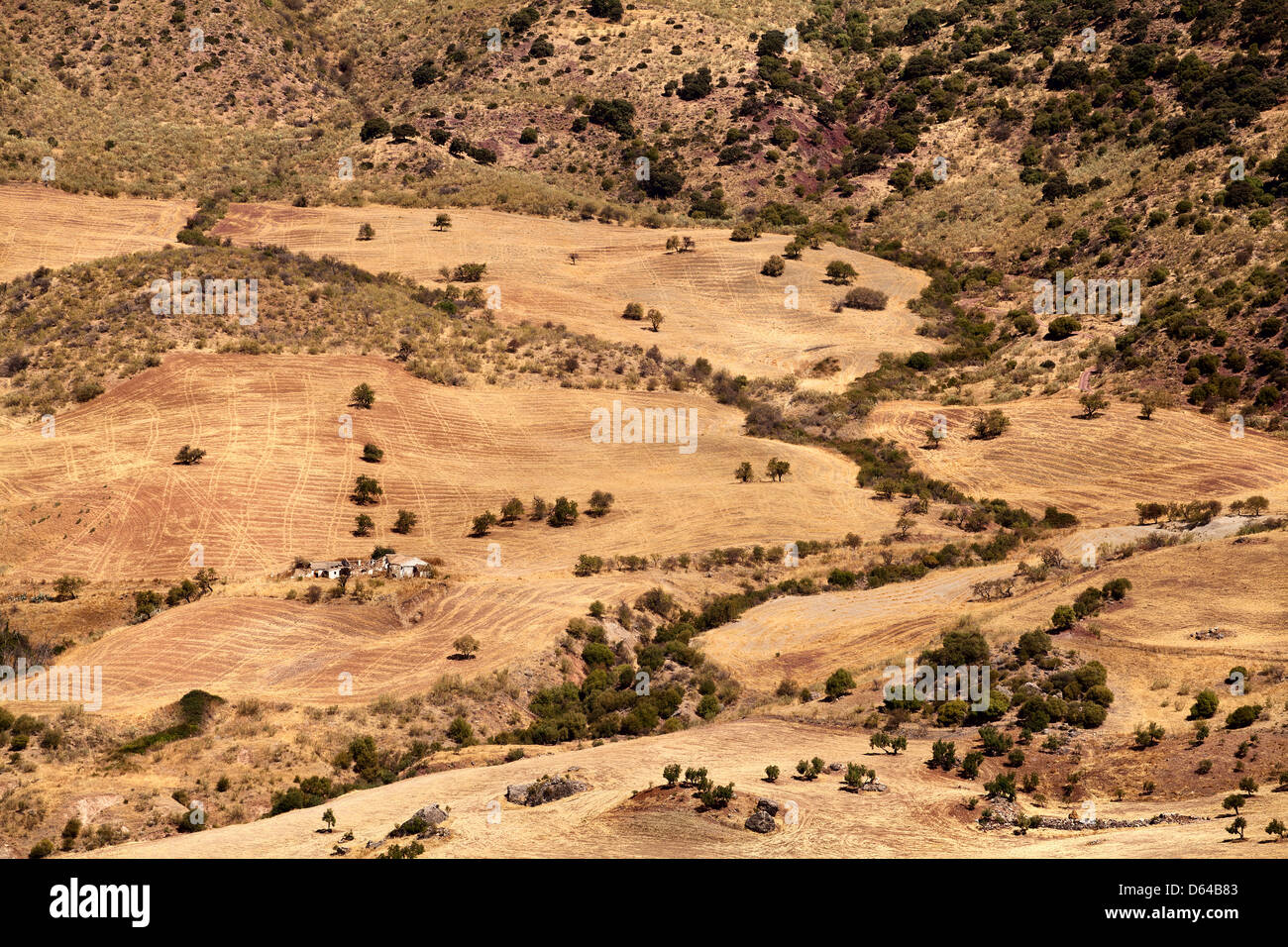 typical Andalusian landscape Stock Photo - Alamy