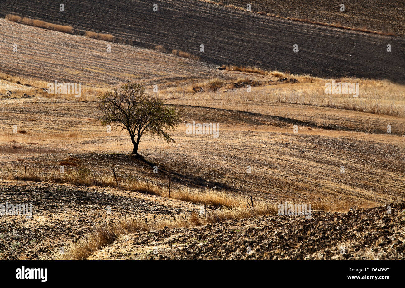 Plowed autumn fields in hi-res stock photography and images - Alamy