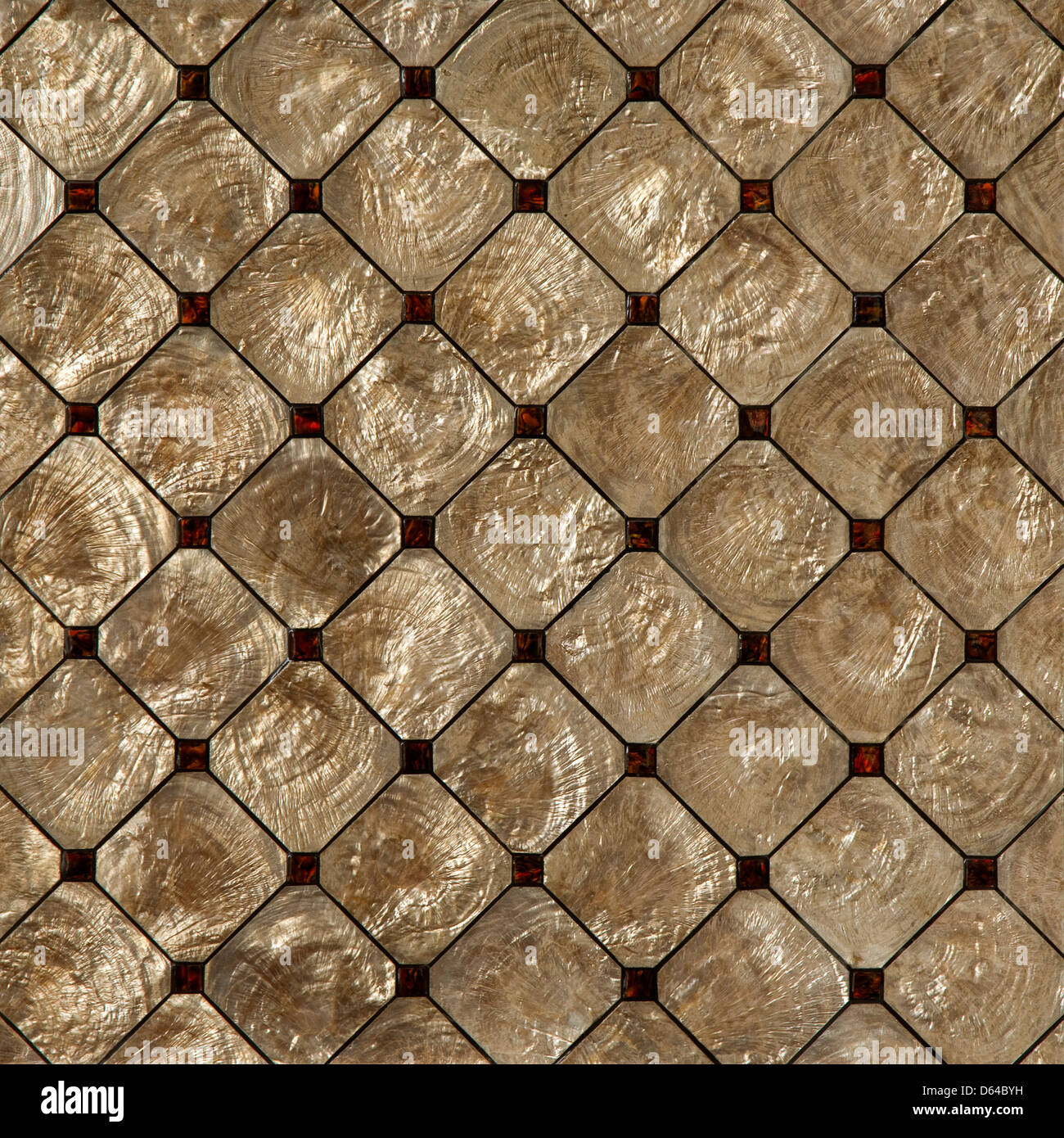 fragment of sea shell wall stucco background Stock Photo - Alamy